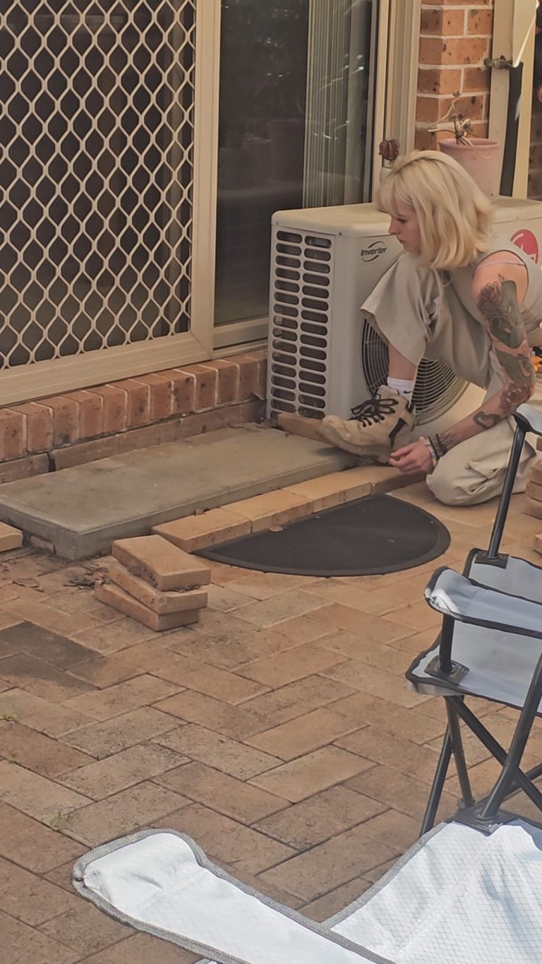 Professional Snake Catching Service in Sydney | What to Expect