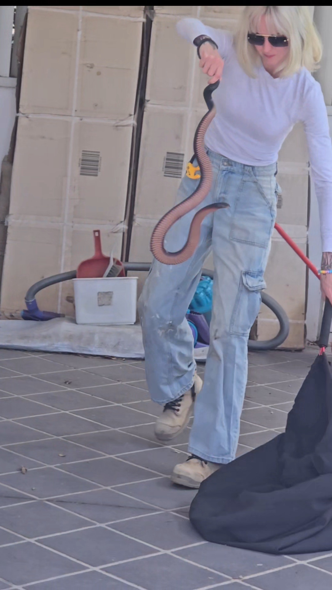 Professional Snake Catching Service in Sydney | What to Expect